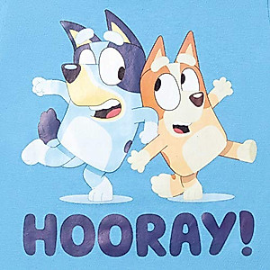 Bluey Toddler Boys T-Shirt and Mesh Shorts Outfit Set 2T