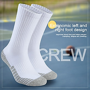 Begrily Men's Cotton Athletic Cushioned Crew Socks with Arch Compression Performance for Running Exercise Hiking 6 Pack White