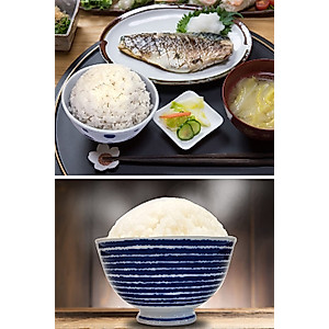 Rice Bowl Japanese Rice Bowls (5 bowls set) Perfect For Everyday Use And As A Gift