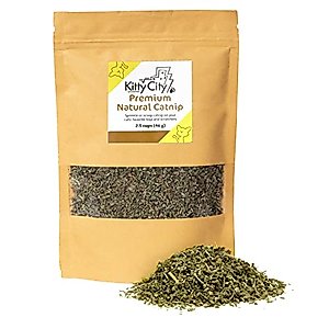 Kitty City Premium Natural Catnip
