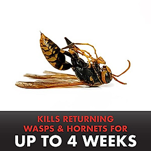 Spectracide PRO Wasp& Hornet Killer 18oz (Pack of 12)