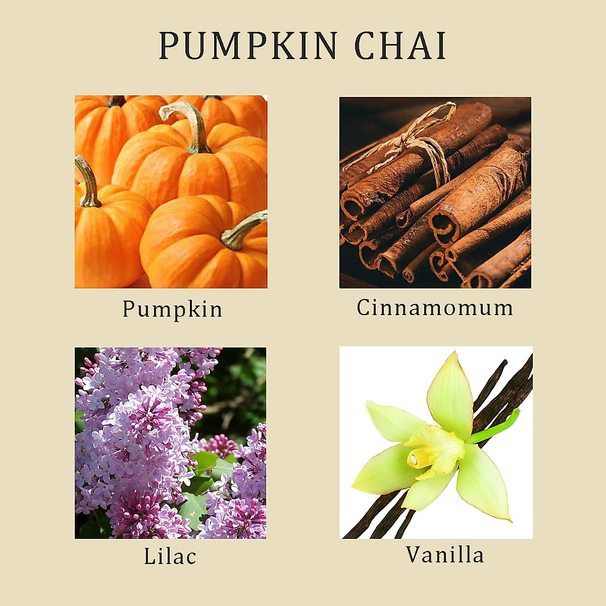 Pumpkin Chai Candle, Fall Candle for Home Scented, Autumn Candles for Women & Men, House Warming Gift, Small Candle Jar, 4.2 Ounce, 28Hour Burn Time, Halloween Candles Gift