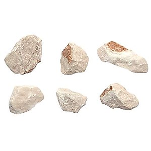 6PK Raw Gypsum, Mineral Specimens - Approx. 1" - Geologist Selected & Hand Processed - Great for Science Classrooms - Class Pack - Eisco Labs