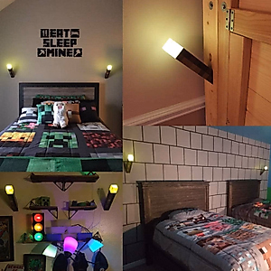 Saderoy Light-up Wall Torch - Batteries & USB Pluggable Night Lamp - Hand Held or Wall Mount Lighting Torch, FL-HTXYQ