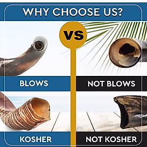 Shofar from Israel | KOSHER by Rabbinate of Jerusalem | Handcrafted | Holy Voice musical instruments | Kudu Shofar | 27-31 inch | Made In Israel By YOMTOV-SHALOM