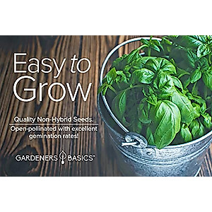 Genovese Basil Seeds for Planting Heirloom Non-GMO Herb Plant Seeds for Home Herb Garden Makes a Great Gift for Gardening by Gardeners Basics