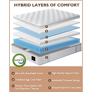 BedStory Queen Mattress - 14 Inch Plush Hybrid Mattress in a Box - Soft Memory Foam and Individual Pocket Springs for Pressure Relief and Motion Isolation, CertiPUR-US