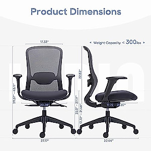 Mesh Office Chair, Ergonomic Chair with Adjustable Lumbar Support, Executive Computer Chair with 4D Armrests, Tilt Lock and Slide Seat, Home Office Desk Chair for Men Women-InkGrey, 2 PC