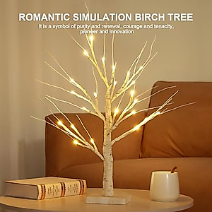 hogardeck 2FT 24LT Led Lighted Birch Tree, White Money Artificial Tree for Christmas Decorations Indoor, Battery Powered Timer Xmas Winter Home Wedding Mantle Desk Table Top Centerpieces Decor
