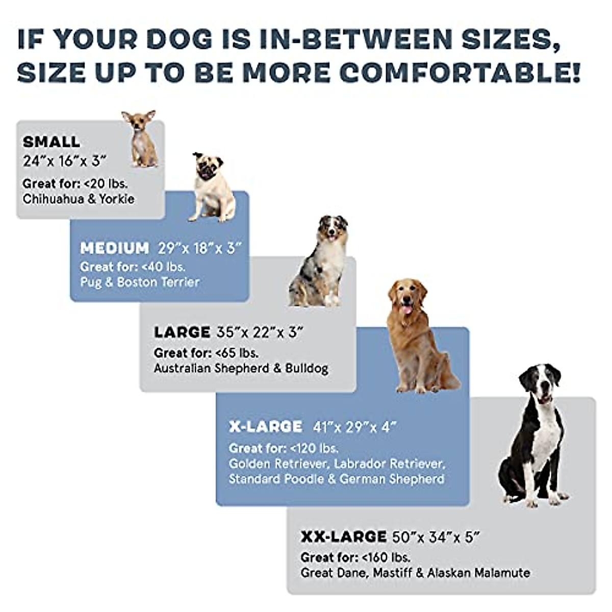 Barkbox Memory Foam Platform Dog Bed | Plush Mattress for Orthopedic Joint Relief (Large, Grey)