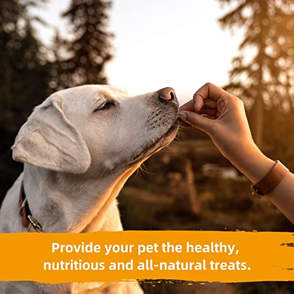 Jungle Calling Natural Sweet Potato Dog Treats, Low Fat, Skinless Sweet Potato Chews for Dogs Training Snacks