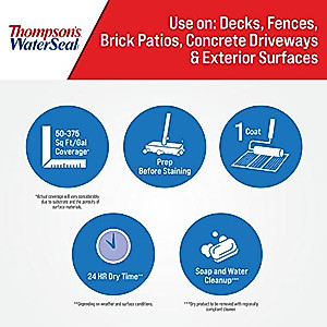 Thompson’s WaterSeal Multi-Surface Waterproofer Stain, Clear, 12 oz Aerosol Can