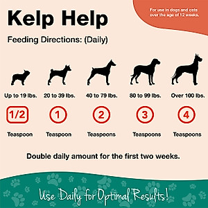 NaturVet Kelp Help Plus Omegas Skin and Coat Supplement for Dogs and Cats, Powder, Made in The USA with Globally Source Ingredients 1 Pound