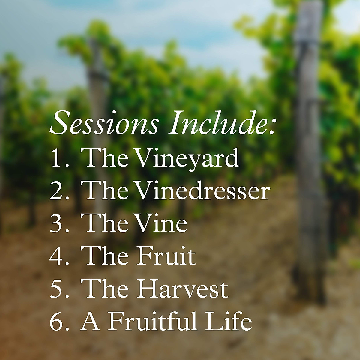 Chasing Vines Group Experience: Finding Your Way to an Immensely Fruitful Life