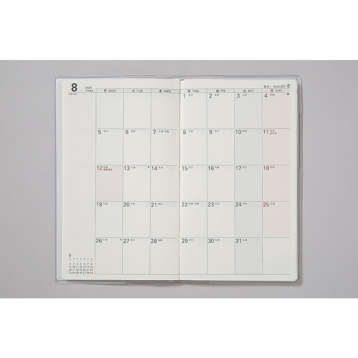 Takahashi Shoten 2024 Monthly Libel Plus 4, Pink No. 274 (Begins November 2023)