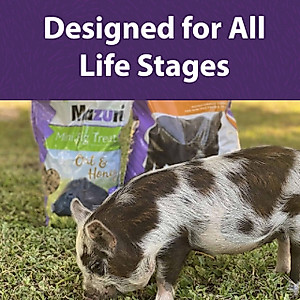 Mazuri® Mini Pig Treats – Oat & Honey, 6 lb.