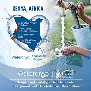 Waterdrop Replacement for Pur®, Pur® Plus Water Filter, CRF950Z NSF Certified Pitcher Water Filter, Compatible with All Pur® Pitchers and Dispensers PPF951K™, PPF900Z™ Water Filter, Pack of 2