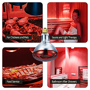 BULBMASTER 250 Watts R40 Red Heat Lamps Outdoor Bulbs for Pets Flood Light Bulb for Chickens Infrared Reflector 250W R40 Incandescent Medium E26 Base 2 Pack