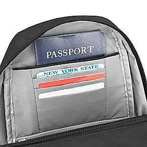 Travelon AT Classic Sling Bag, Black, One Size