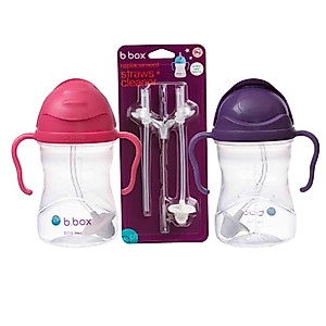 b.box Sippy Cup + Replacement Straw and Cleaner Pack | Includes 2 Weighted Straw Sippy Cups (Raspberry & Grape) | Leak Proof, Spill Proof, BPA Free