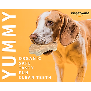 VINPETWORLD Dog Chew Toy - Boost Your Dog's Chewing Joy with This Safe, Natural Stick from Real Coffee Wood, Perfect for Your Joyful Four-Legged Friend - Size Medium (Pack of 2)