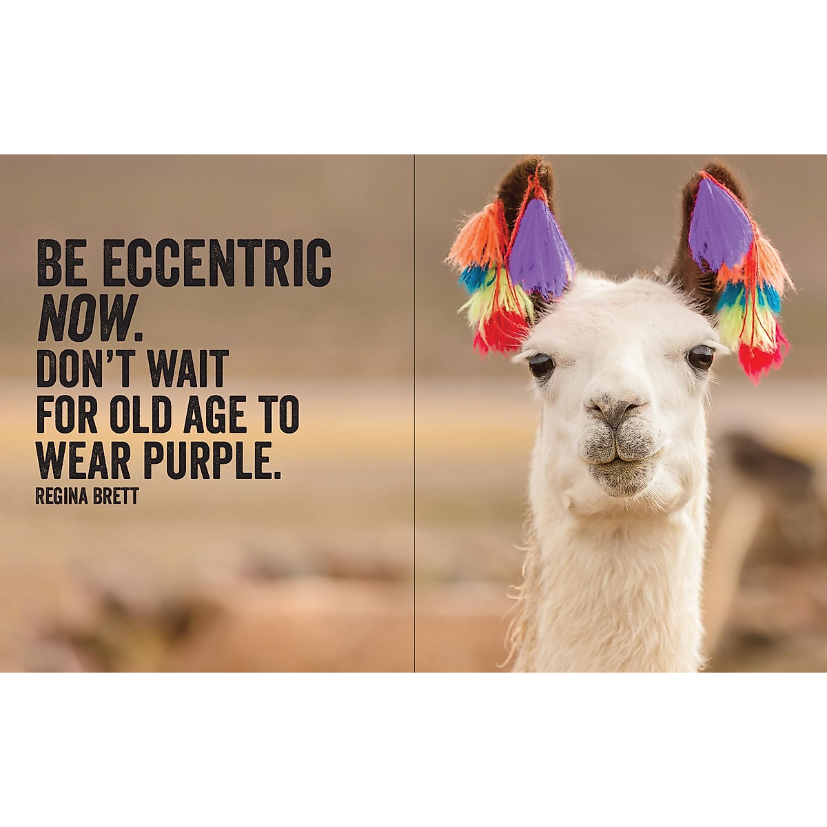 I Thought Growing Old Would Take Longer (mini book)