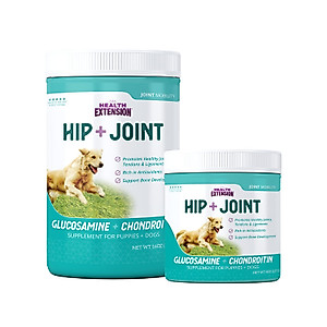 Health Extension Chondroitin with Glucosamine for Dogs, 16oz - Arthritis Pain Relief, Joint & Hip Supplement, Cheese Flavored Powder
