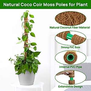 Sukh Moss Totem Pole - Moss Pole for Plants Monstera 2 Pcs 15.7 Inch Coco Coir Pole for Climbing Indoor Potted Plants Training Grow Upwards with Jute String Moss Stick for Plant Support Extension