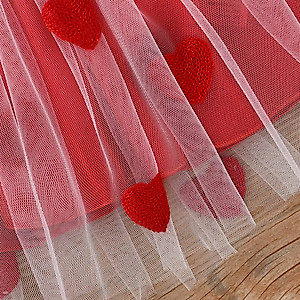 Infant Girls Dresses Double Tulle Long Sleeves Dresses+Bow Headband 3D Heart Applique Valentines Day Baby Clothes (Red Dress,3-6 Months)