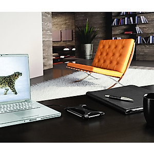 Iomega eGo Blackbelt Mac Edition 1 TB FireWire 800/FireWire 800/USB 2.0 Portable External Hard Drive 35115 (Black)