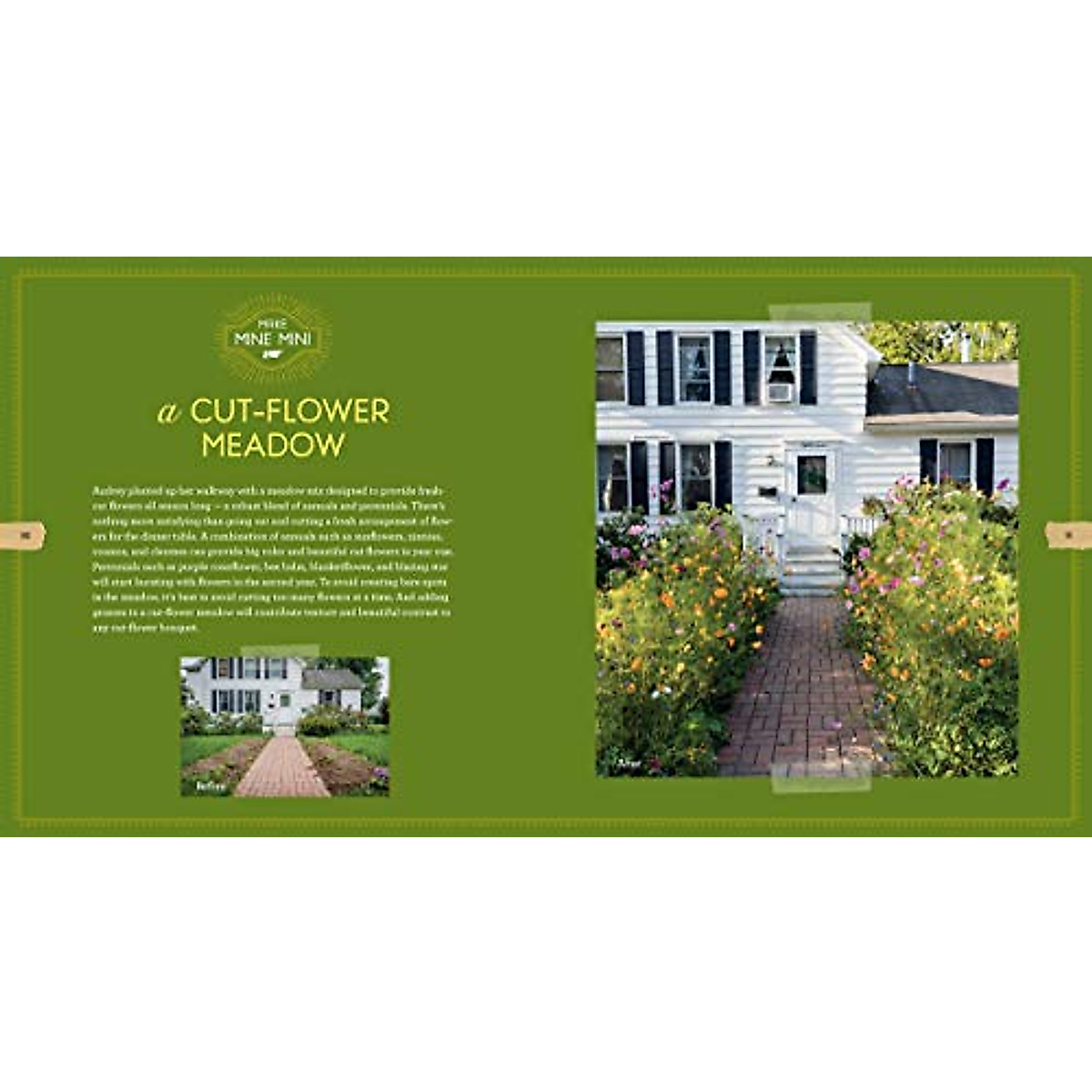 Mini Meadows: Grow a Little Patch of Colorful Flowers Anywhere around Your Yard