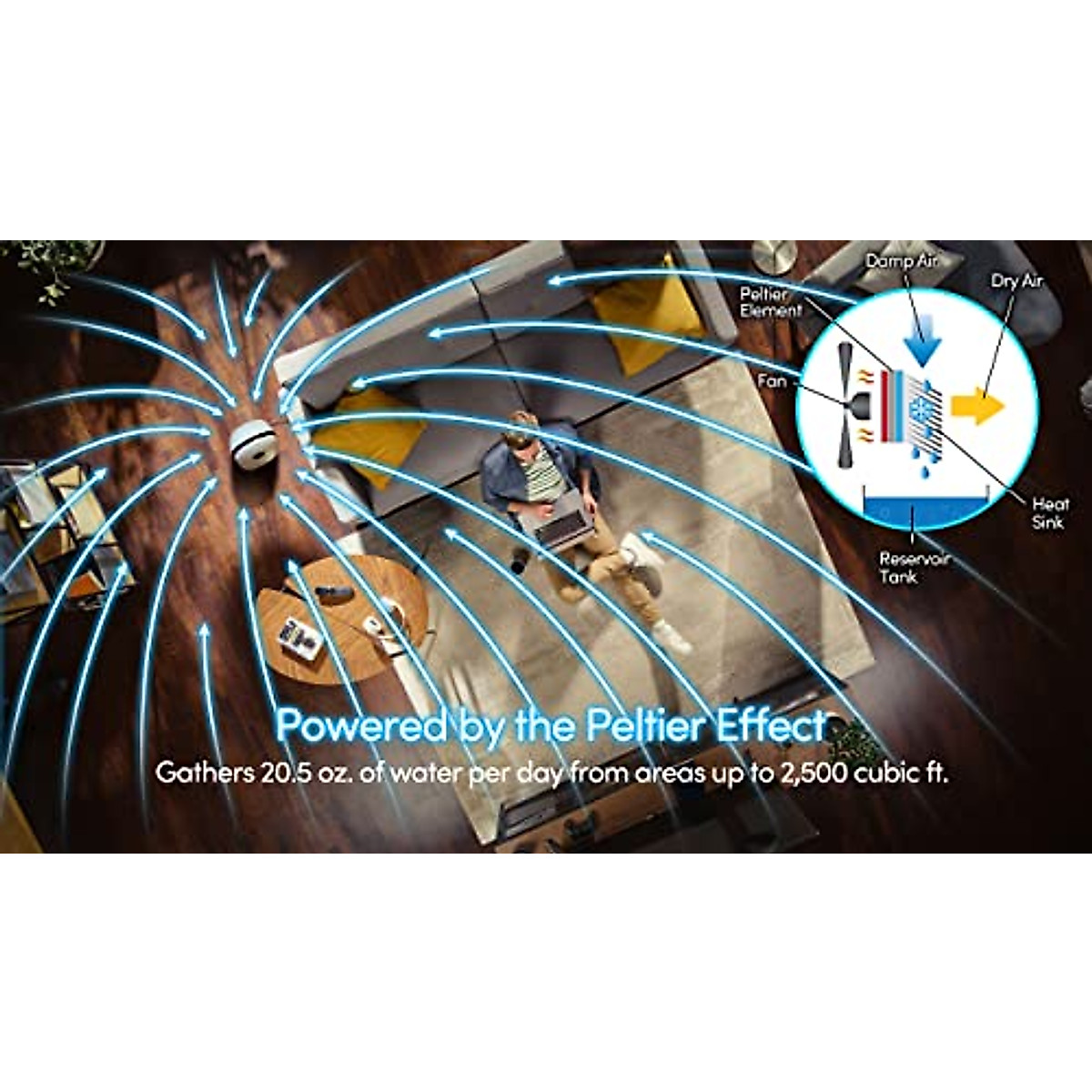 Eva-Dry Air Dehumidifier for Home – Portable Dehumidifier for Small & Medium Spaces Up to 2,500 Cubic Ft. – Quiet Dehumidifier for Basements, RVs, Bathrooms, Laundry Rooms, Campers, Bedrooms, & More