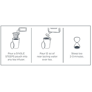 Tea Forte Single Steeps Loose Leaf Green Tea Sampler, Assorted Variety Tea Box, Single Serve Pouches, 15 Count (Pack of 1)