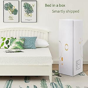 Hbaid Twin Mattress, 5 Inch Green Tea Cooling Gel Memory Foam Mattress in a Box Medium Firm Twin Bed Mattress for Bunk Bed, Trundle Bed, Pressure Relief, CertiPUR-US Certified