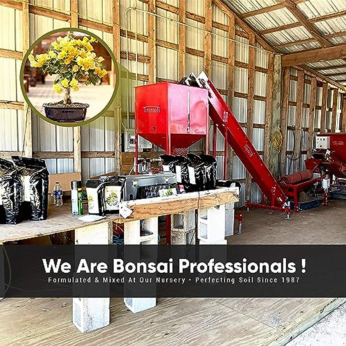 Tropical Bonsai Soil by Tinyroots - 100% Organic + Fast Draining Pre-Mixed Bonsai Potting Soil Mix, Perfect for Healthy Cacti and Bonsai Growth, 2.5 Quarts