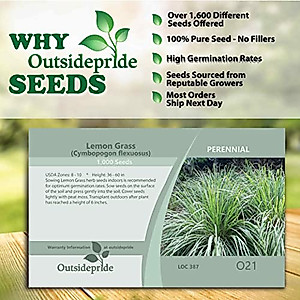 Outsidepride Cymbopogon Lemon Grass Aromatic, Fragrant Ornamental & Culinary Herb Garden Plant - 1000 Seeds