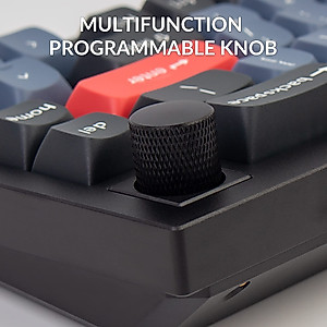 Keychron Q2 Wired Custom Mechanical Keyboard Knob Version, 65% Layout QMK/VIA Programmable Macro with Hot-swappable Gateron G Pro Red Switch Double Gasket Compatible with Mac Windows Linux (Black)
