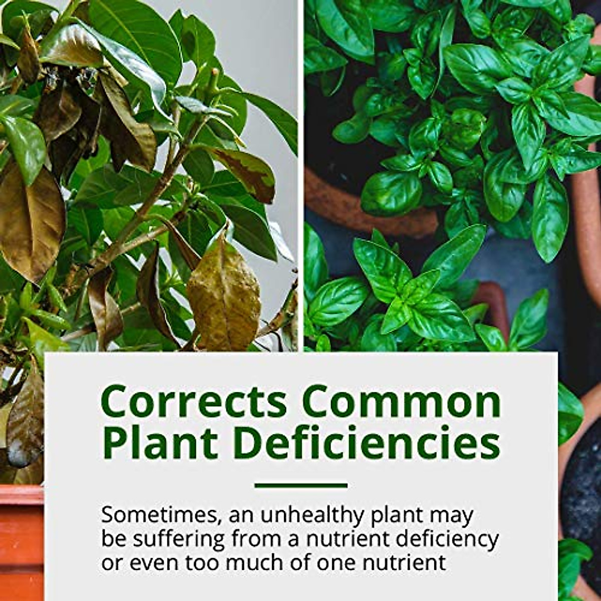 Humboldts Secret Calcium, Magnesium and Iron Supplement – Hydroponic Supplies – Liquid Nutrient Fertilizer – Supports Vegetative and Flowering Stage – 1 Quart