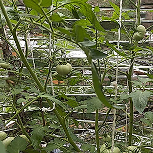 Silver Reflective Mylar Film Sheets - Garden Greenhouse Covering Foil Sheets Set of 10 Pack | Mylar Roll for Grow Room Effectively Increase Plants Growth - 87 x 63 inch Space Emergency Blankets Fabric