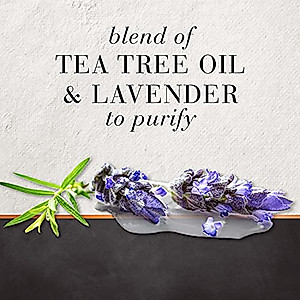 Hair Food Shampoo, Tea Tree & Lavender Water, 10.1 Oz (23174)