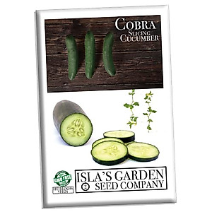 "Cobra" Cucumber Seeds for Planting, 25+ Seeds Per Packet, (Isla's Garden Seeds), Non GMO Seeds, Botanical Name: Cucumis sativus, Great Home Garden Gift