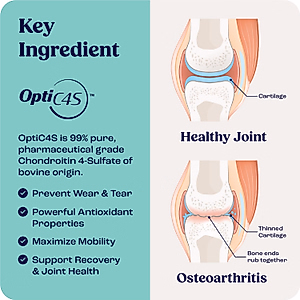 Summit Animal Health Joint and Mobility Supplement for Large Dogs (Previously Lift), All Natural Liquid Chrondroitin with Liposomal Delivery for Arthritis, Hip & Joint Support Vitamin, (Dogs 75+lbs)