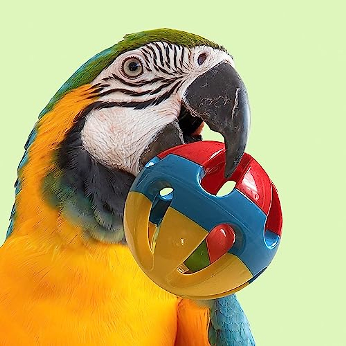 SIMENA Parrot Ball Toy with Bell, Cage Hanging Accessories for Medium to Large Birds, Parrot Toy, Interactive Puzzle Bird Bell Toy, Bird Ball, Cat Ball Toy (Globe, Set of 1)