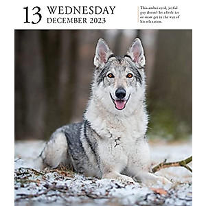 Dog Page-A-Day Gallery Calendar 2023: An Elegant Canine Celebration
