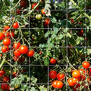 Seedfactor 5 x 30 ft. Plant Trellis Netting, Heavy-Duty Polyester Grow Net, Garden Trellis Netting with Square Mesh for Climbing Plants, Vegetables, Fruits, and Flowers, 1-Pack