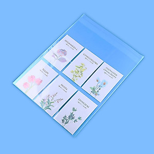 iMailer 200 Count - 12" x 15" Self Seal Clear Cello Cellophane Resealable Plastic Poly Bags for Clothing, T-Shirts, Pants