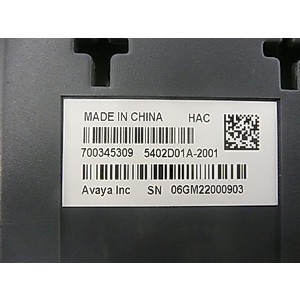 Avaya 5402 700381981 2 Button Digital Telephone
