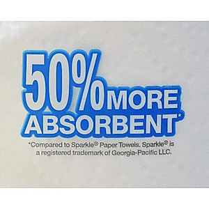 HDX Paper Towels (12-Roll)