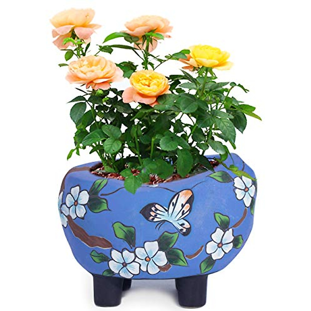 Dahlia Hand Painted Flower Butterfly Ceramic Succulent Planter/Plant Pot/Flower Pot/Bonsai Pot, A