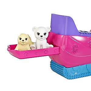 Barbie I Can Be Arctic Rescuer Playset